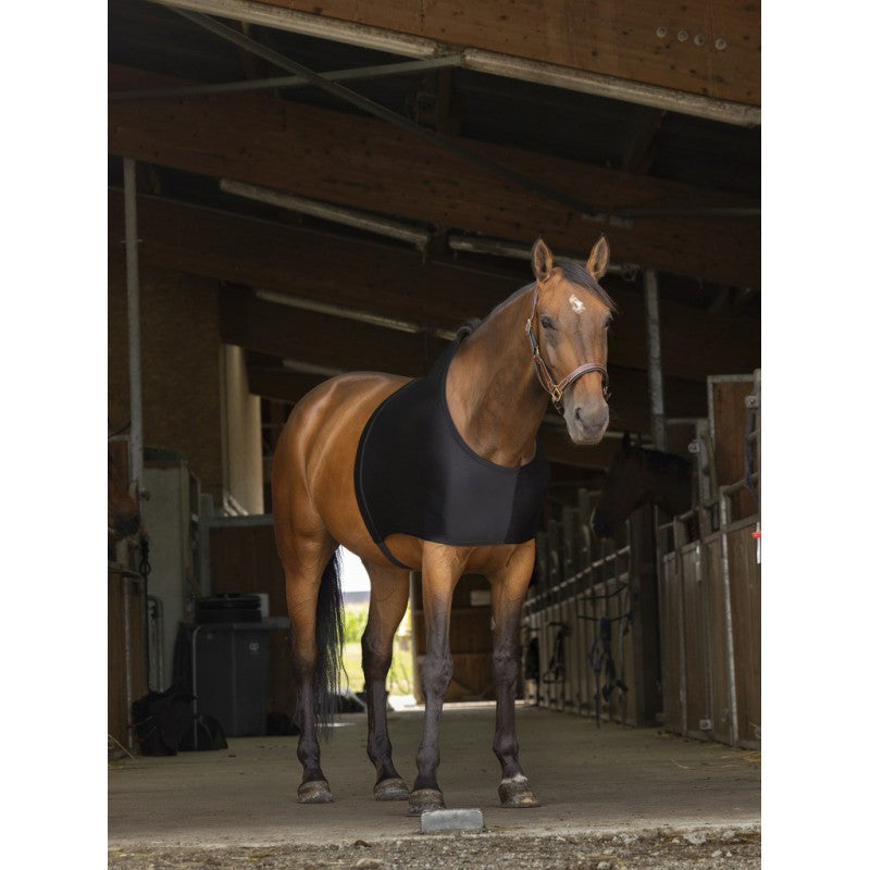 Equitheme Shoulder Protection – Riderzon